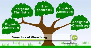 Important Branches of Chemistry - BIoMadam
