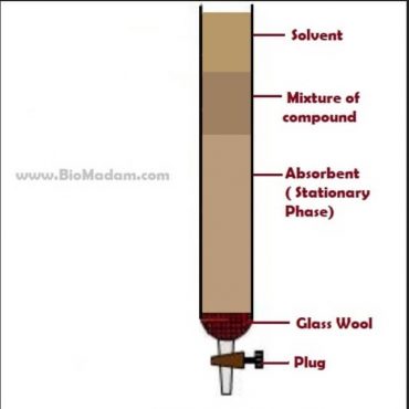5 Different Types of Column Chromatography | Most Used | - biomadam