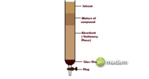 5 Different Types of Column Chromatography | Most Used | - biomadam