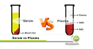 Difference Between Serum and Plasma - [ Comparison Table ] biomadam