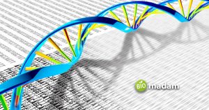 EXPASY Translate Tool - DNA to Protein Translation - biomadam