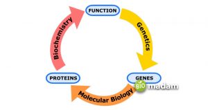 10 Important Branches of Biochemistry to Study