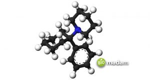 Importance of Organic Compound - biomadam