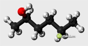 Why is Carbon so Important for Biology? - biomadam