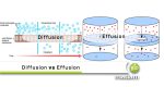 Difference between Diffusion and Effusion - biomadam