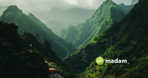 Difference between Habitat and Ecosystem - biomadam