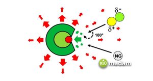 Difference Between Cations and Anions - biomadam