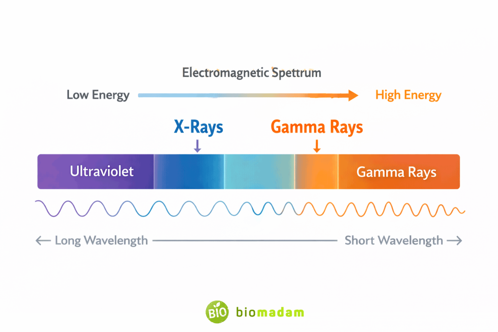 Difference Between X-Rays and Gamma Rays (Table & Uses)