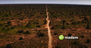 The Great Victoria Desert – Nature | Culture | Adventure - biomadam