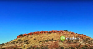 A Complete Tourist Guide to the Little Sandy Desert - biomadam