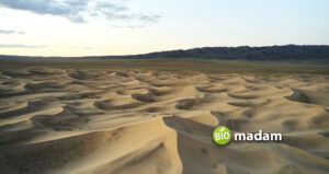 A Complete Tourist Guide to the Little Sandy Desert - biomadam