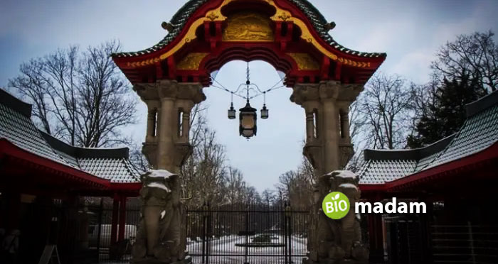 Biggest Zoos in the World - biomadam