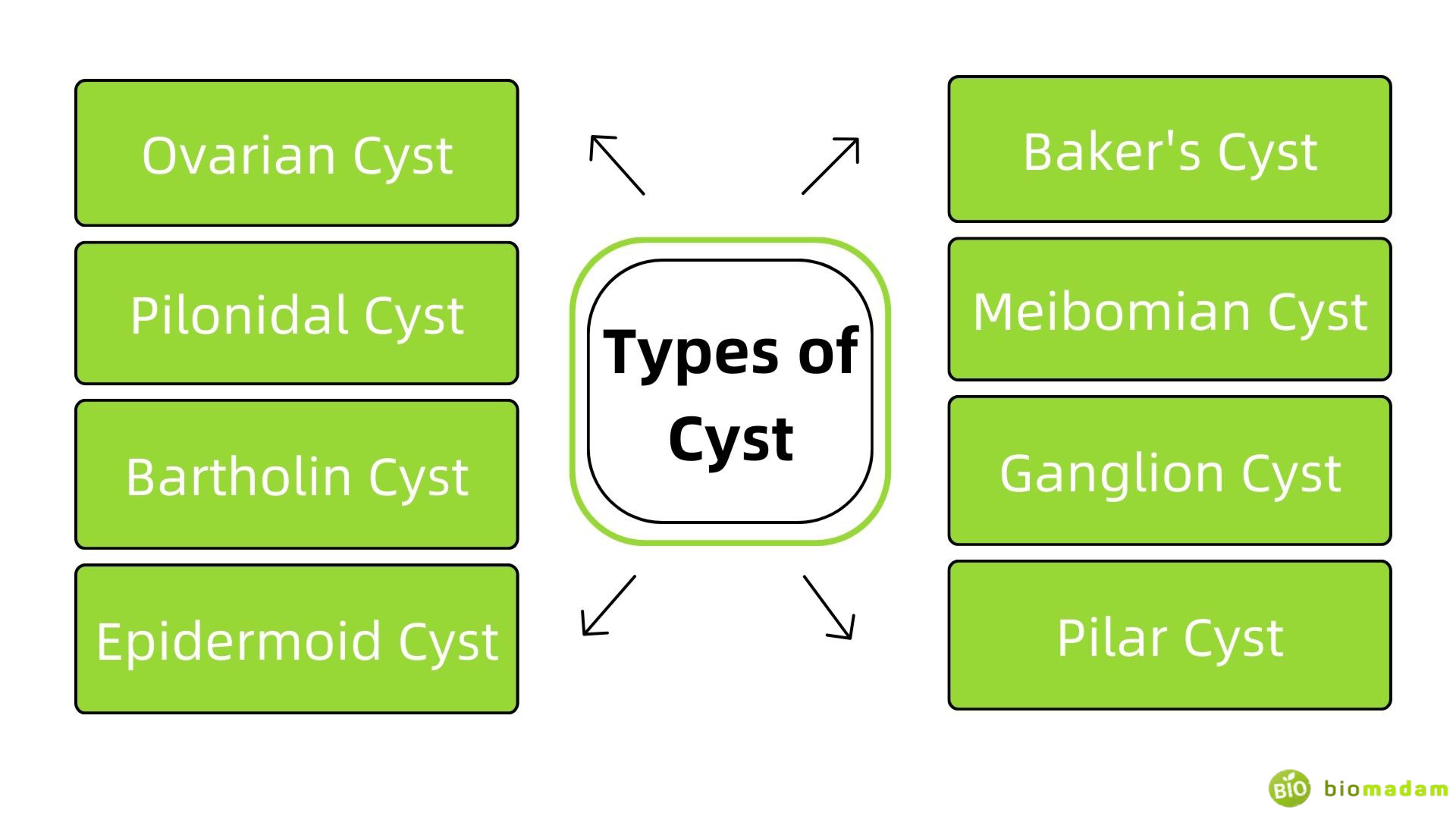 Cyst vs Tumor - biomadam