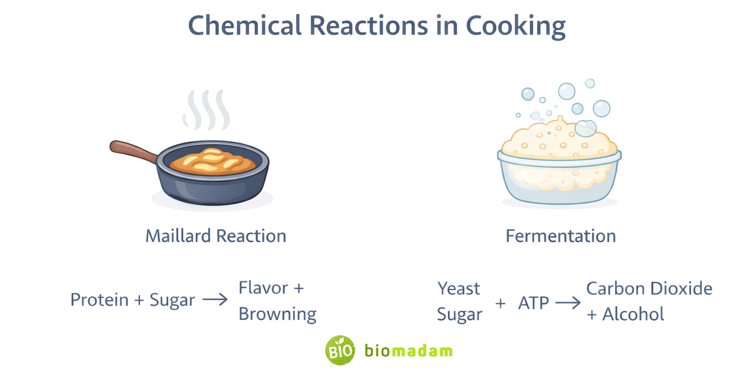 Importance of Chemistry in Daily Life | Uses & Applications Explained