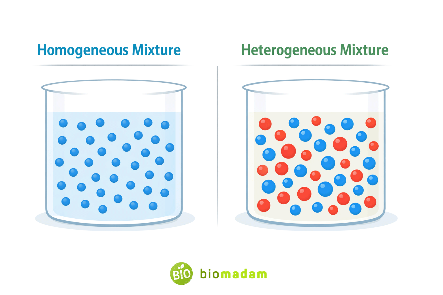 Homogeneous vs Heterogeneous Mixtures – Key Differences & Examples