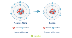 How Are Cations Formed? Electron Loss Explained with Examples