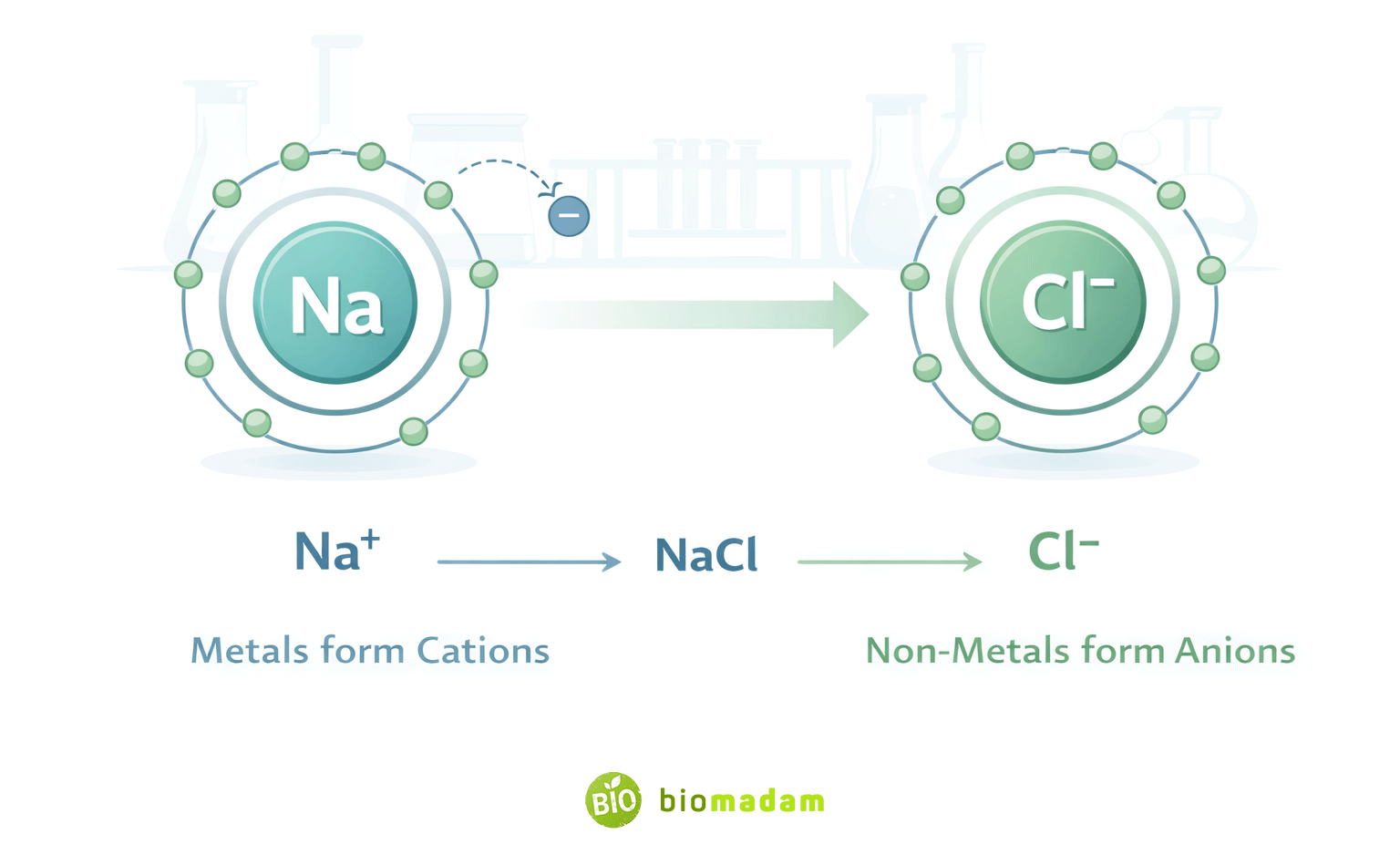 Do Metals Form Anions or Cations? Why Metals Form Positive Ions