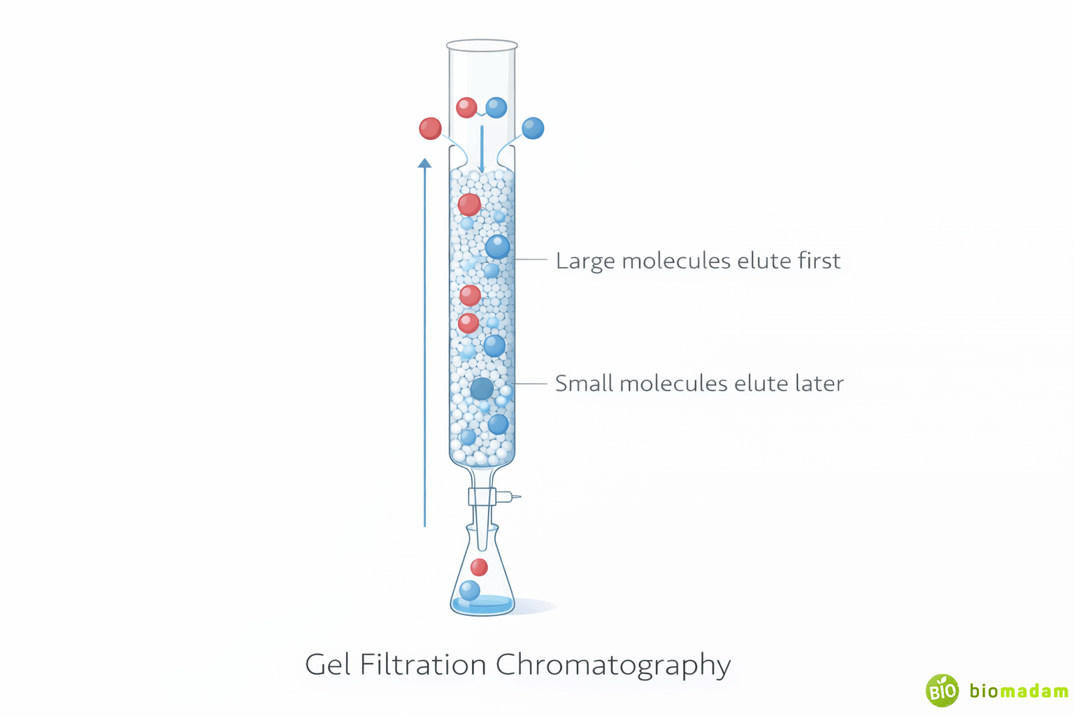 Types of Column Chromatography Explained Clearly