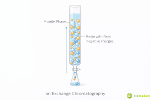 Types of Column Chromatography Explained Clearly